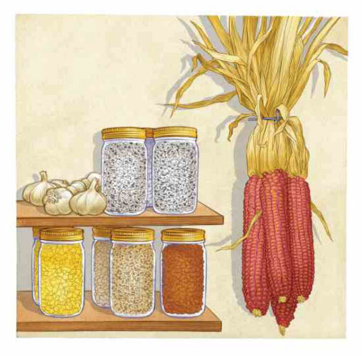 Top Storage Crops: How to Store Fruits and Vegetables – Mother Earth News